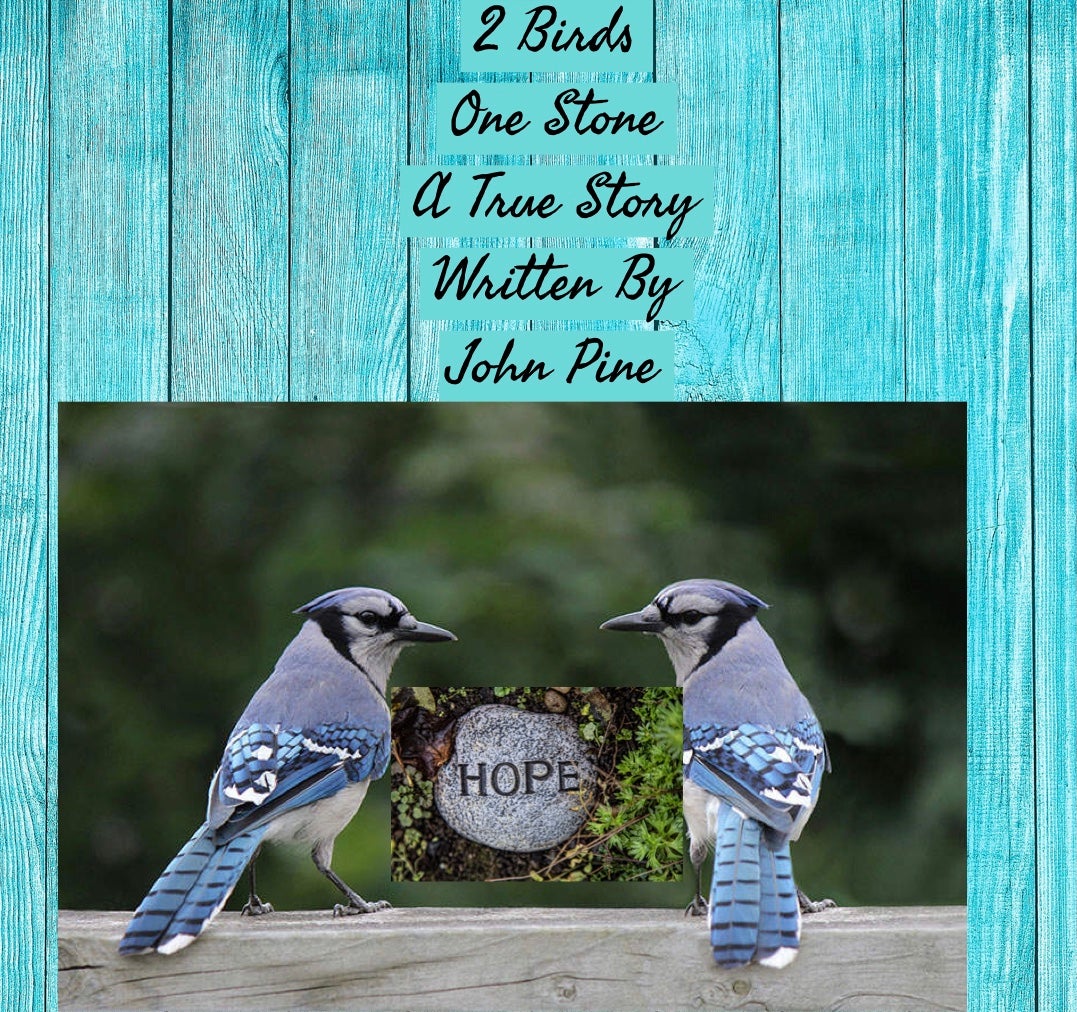 2 Birds 1 Stone By John Pine Regular Price $7.99 🎄Early Black Friday ...