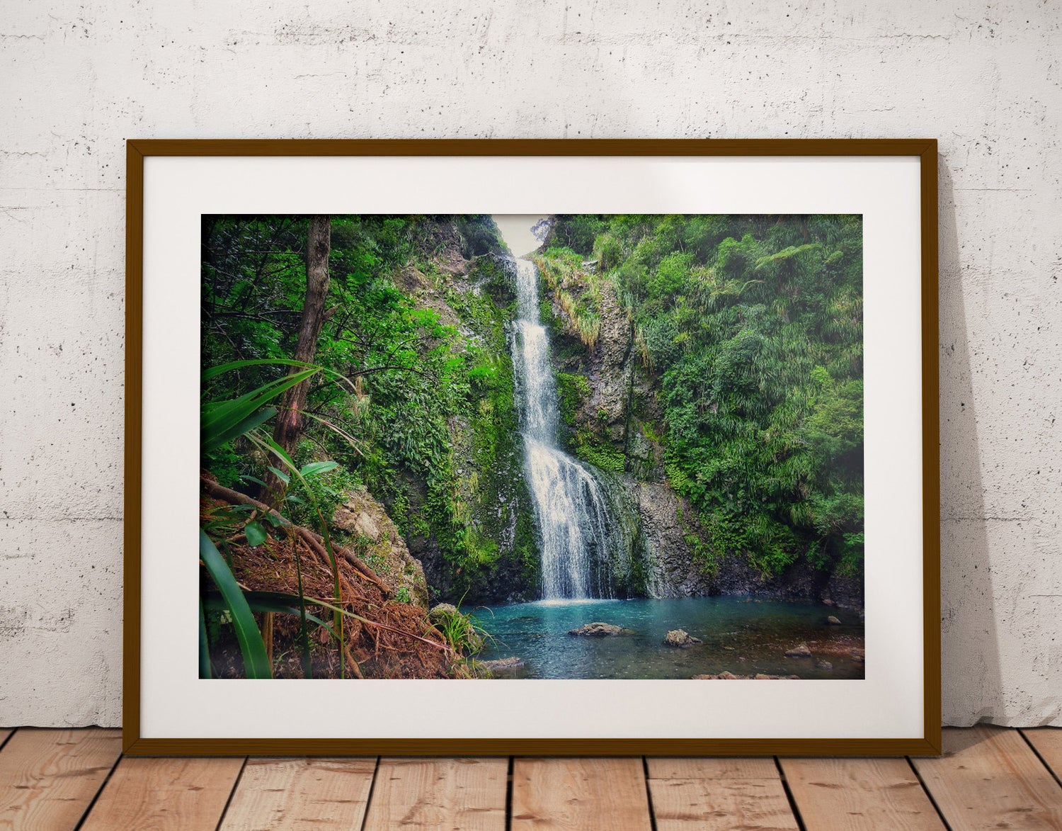 Fern Leaf NZ | Colour | Printable Photo Print | Wall Photo Art ...