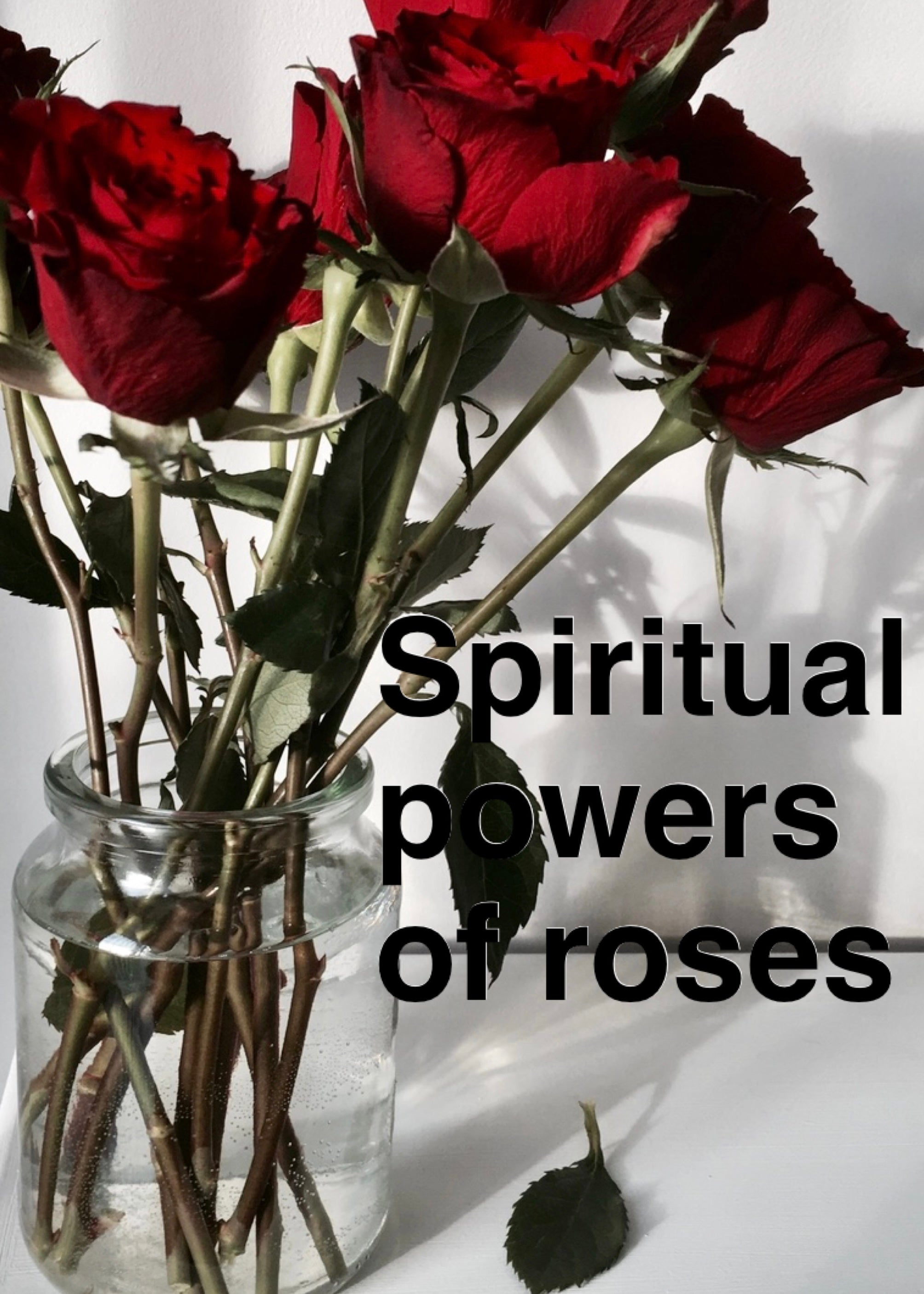 Unlock your energy and spiritual power with Roses and other powerful ...