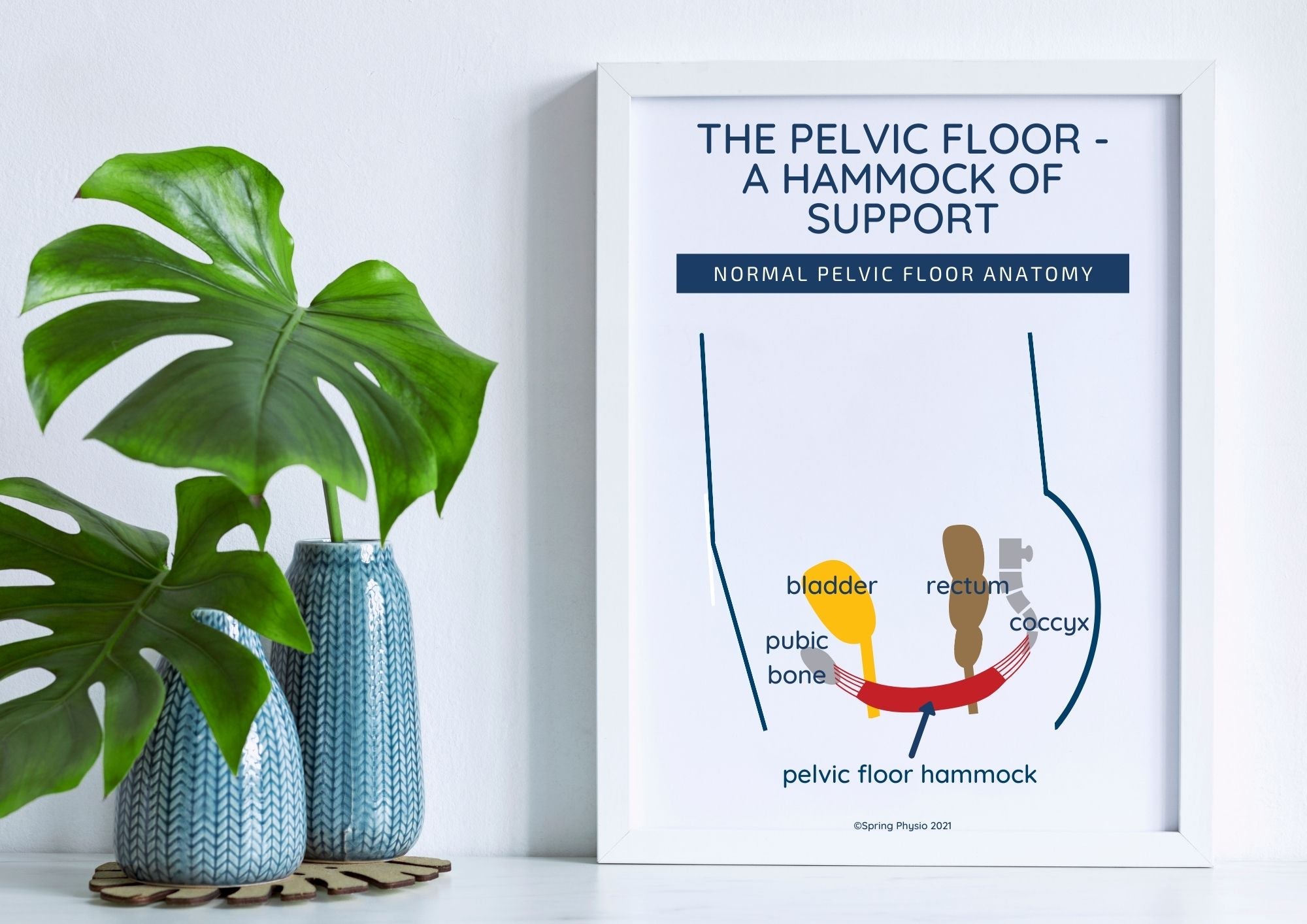 Pelvic Floor Hammock - Non Gender Specific - Payhip
