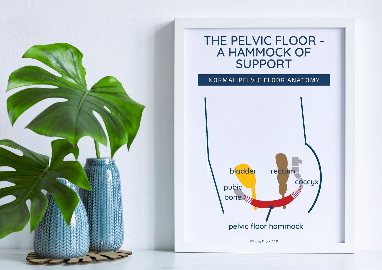 Pelvic floor - A Hammock of Support - Payhip