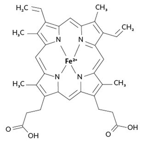 Nº8 - La importancia del hierro en la salud y el rendimiento