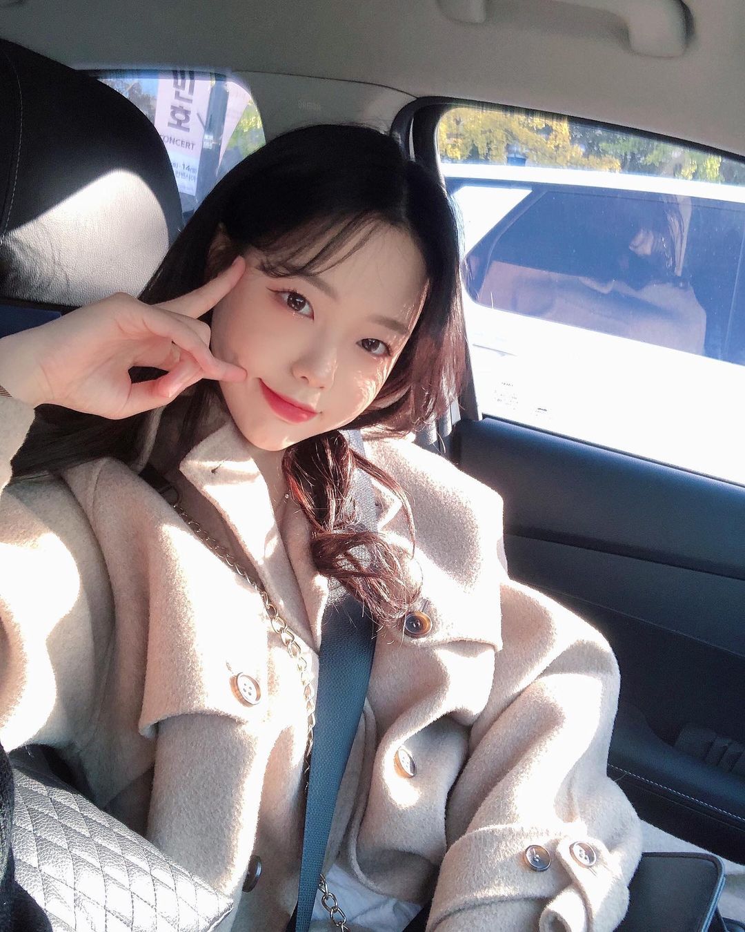 butterfly effect pf - Payhip