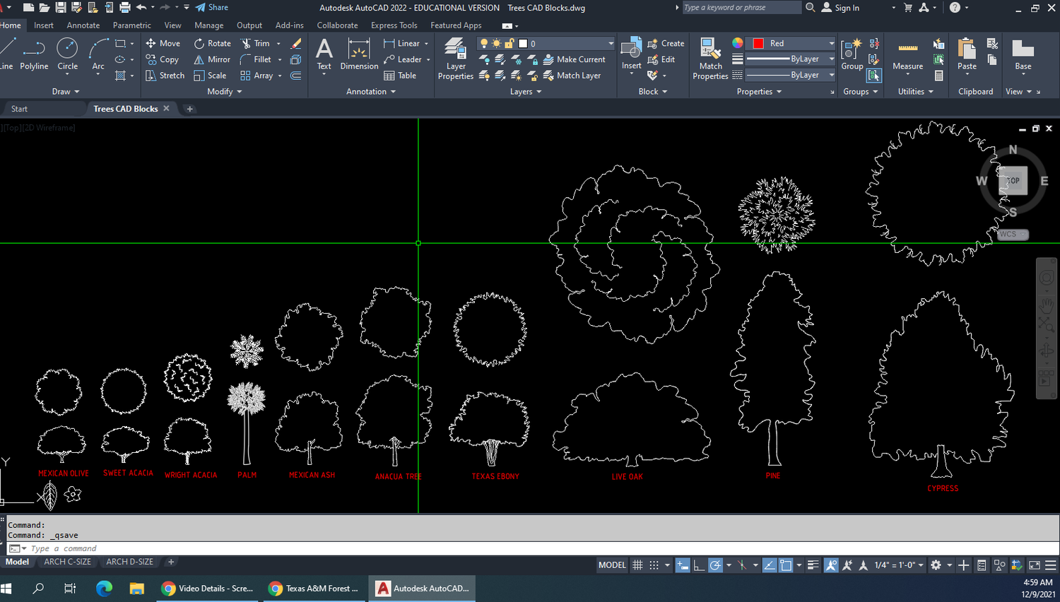 Live Oak Tree in Plan & Elevation Views (.dwg files/CAD Blocks ...
