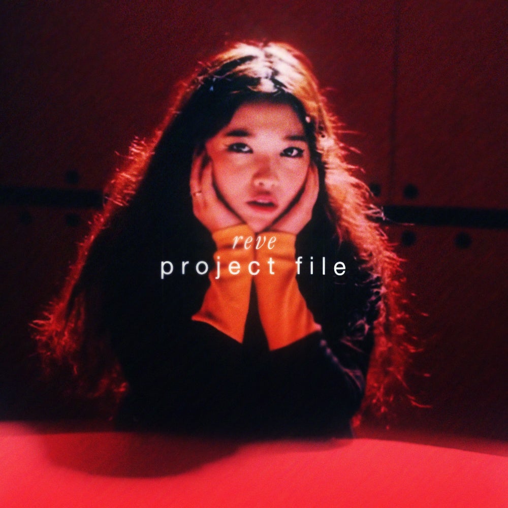 reve project file - Payhip