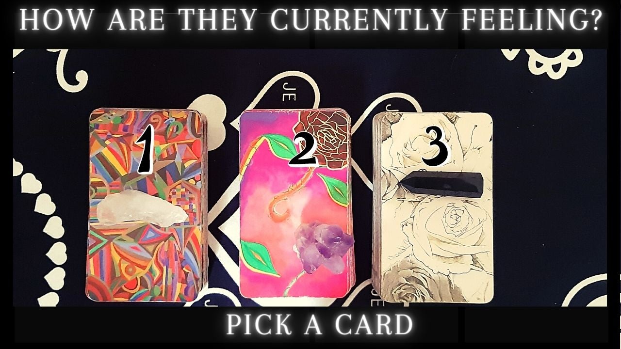 PILE 2~ HOW ARE THEY CURRENTLY FEELING? - Payhip