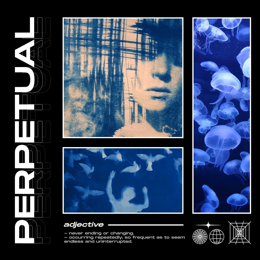 "perpetual" - guitar loop kit - Payhip