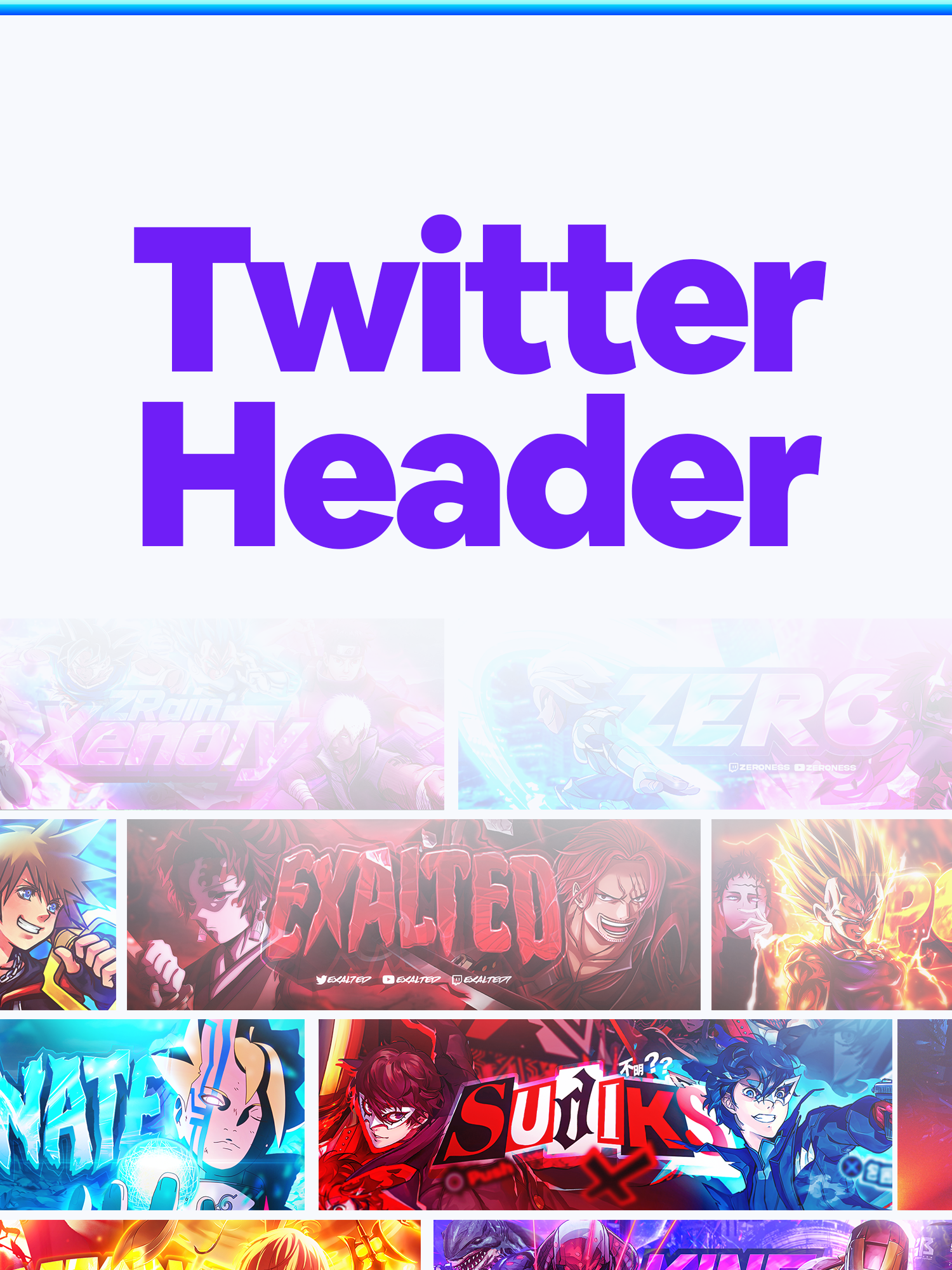 Custom Twitter Header - Payhip