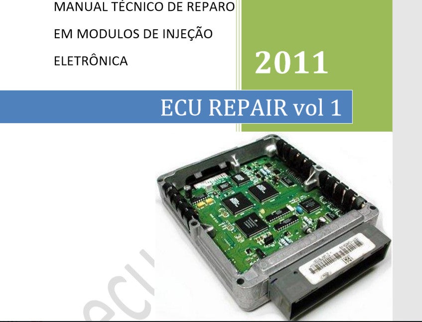 Diagnostic, Repair ECU - Payhip