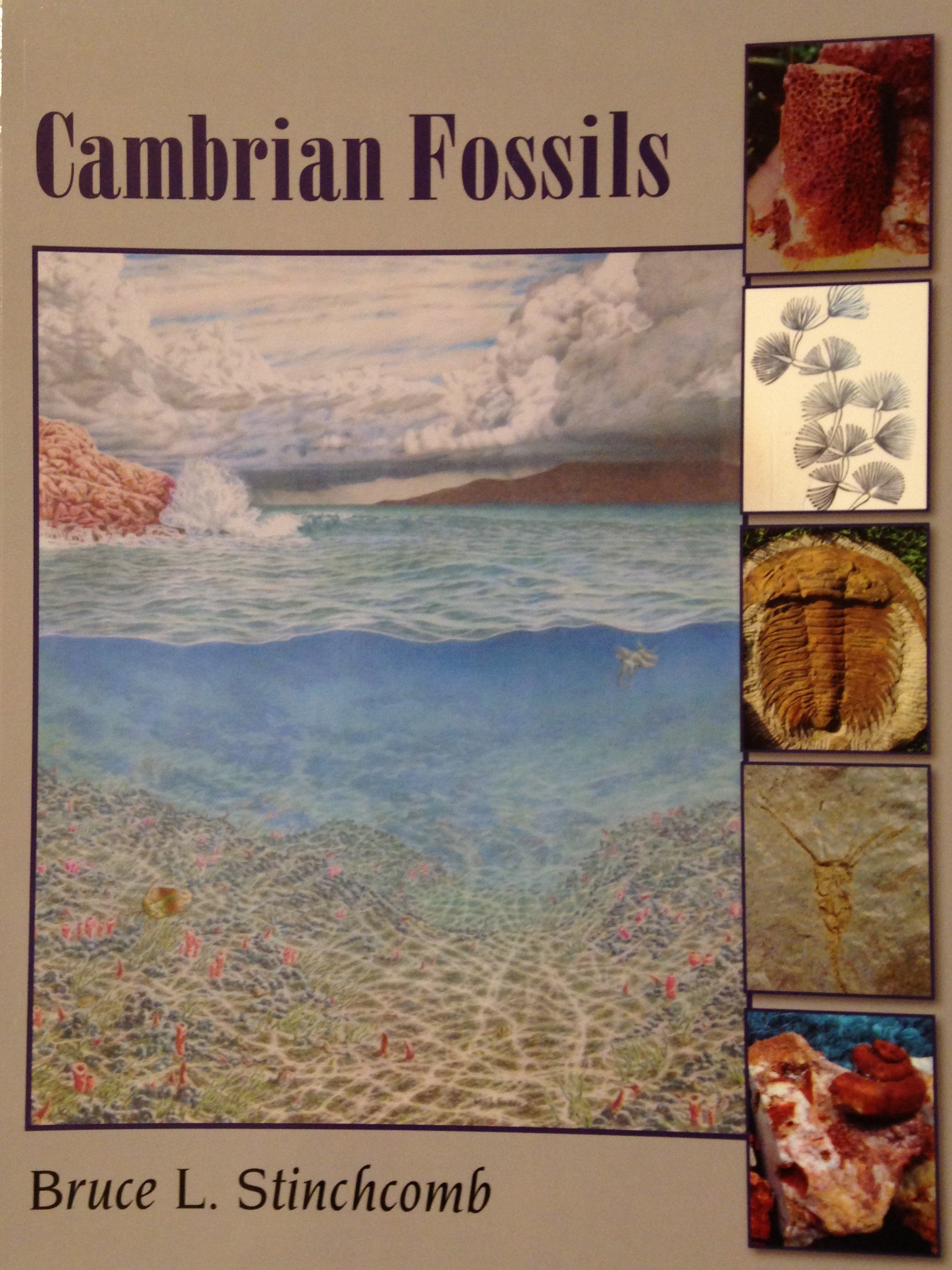 Books by Bruce Stinchcomb - Payhip