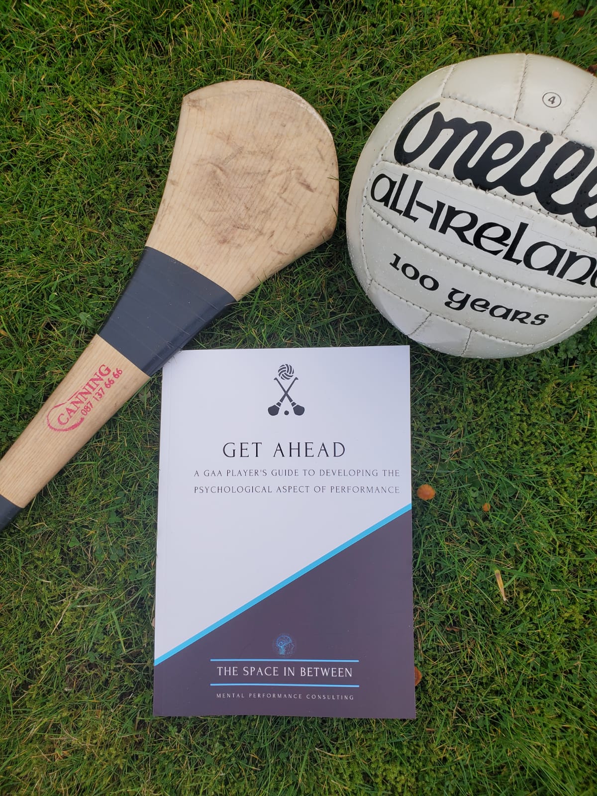 [BOOK] GET AHEAD: A GAA Player's Guide to Developing the Psychological ...