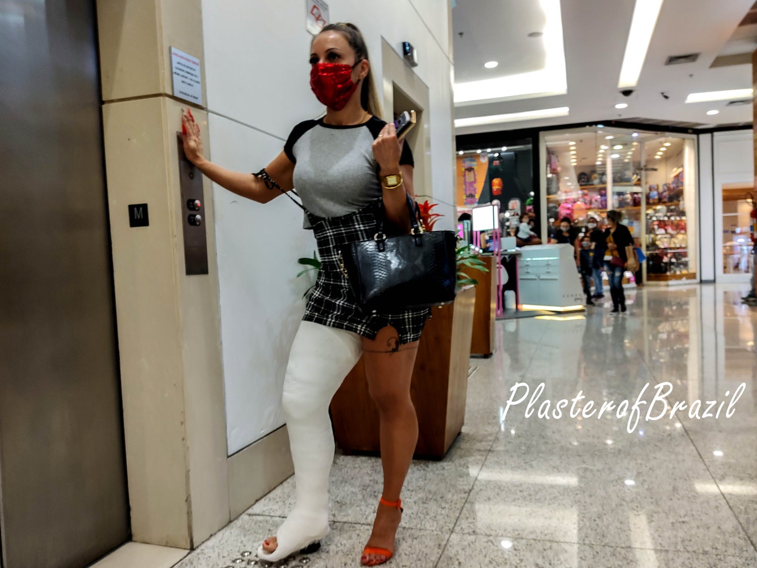 Plaster of Brazil - Payhip