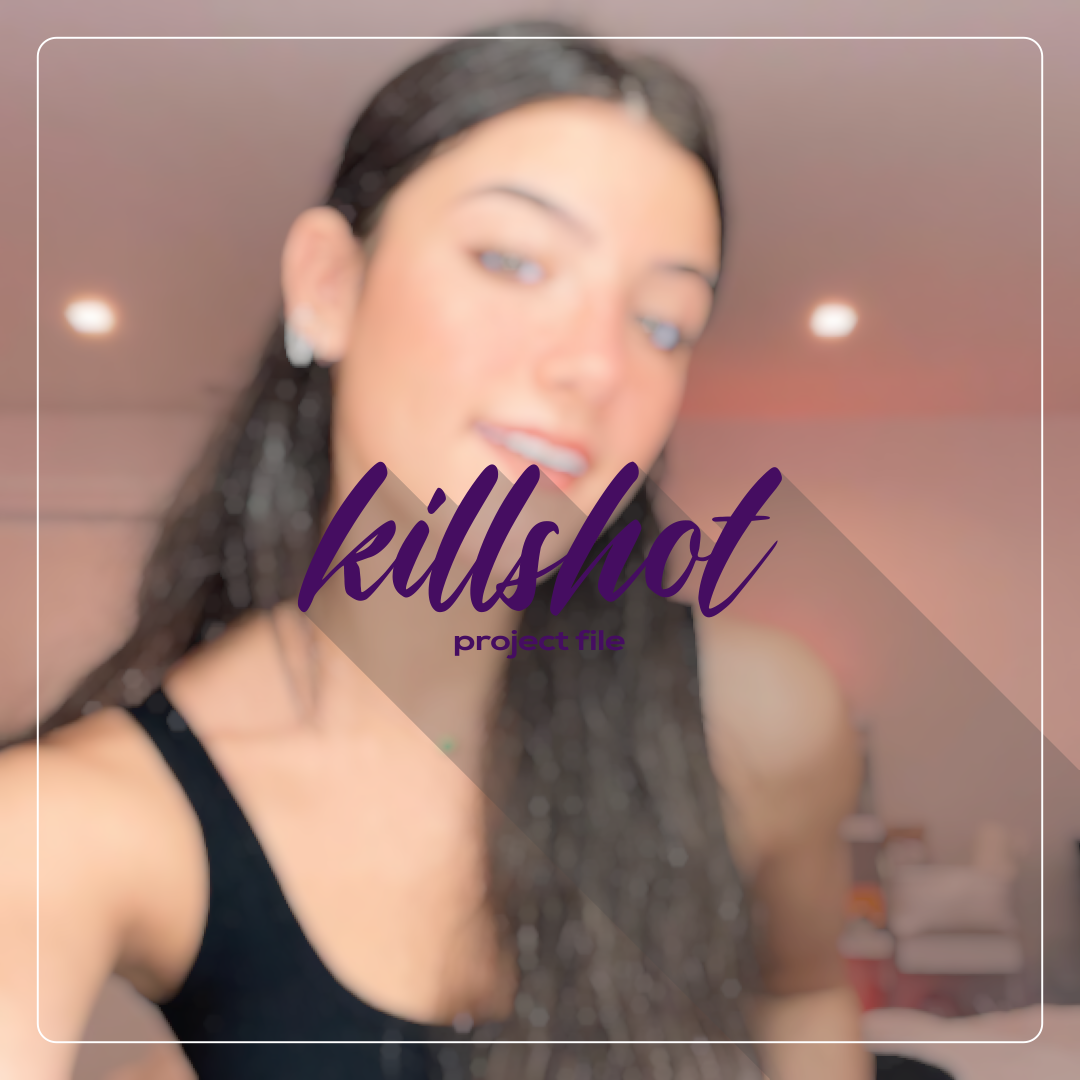 killshot (project file) - Payhip