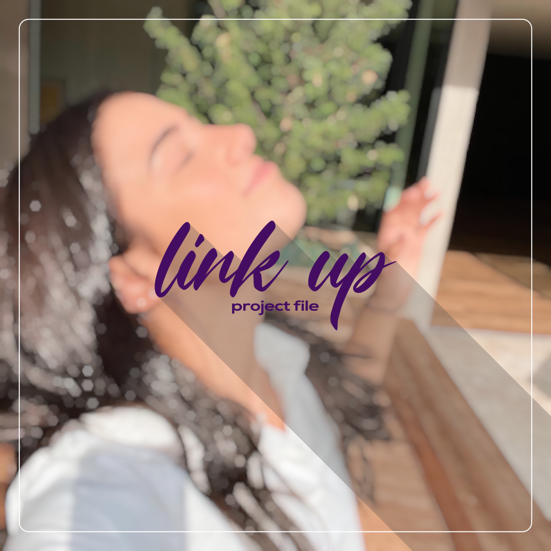 link up ( project file ) - Payhip