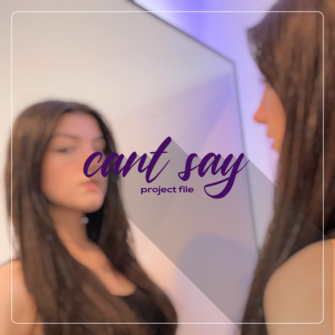 cant say (project file) - Payhip