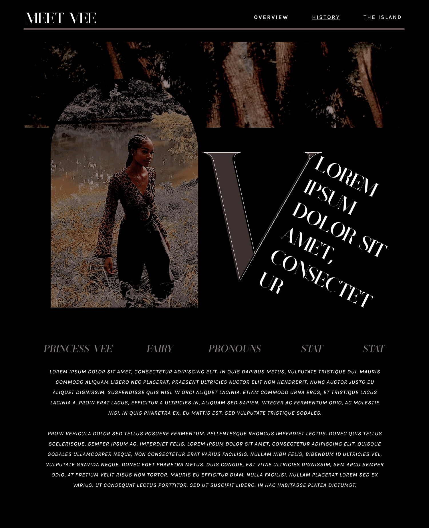 PRINCESS VEE, a character introduction template. - Payhip