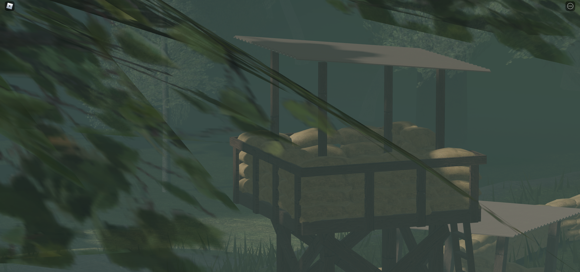 Amazon Rain Forest - Payhip