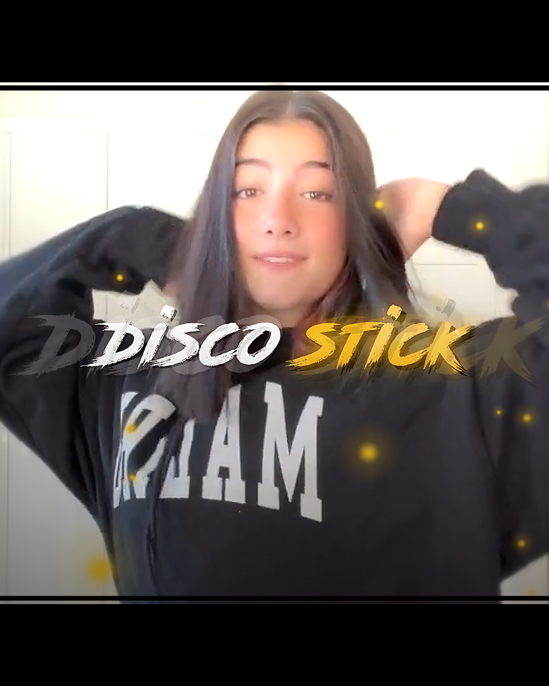 Disco Stick pf - Payhip