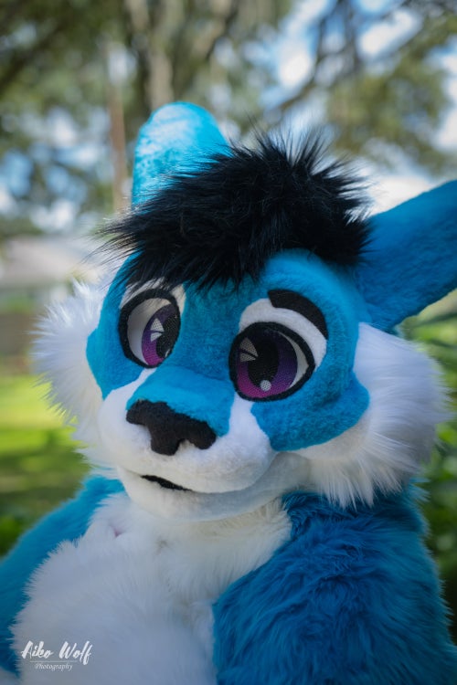 Skye Cabbit - Payhip