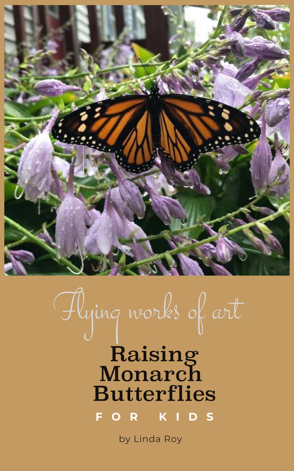 Flying Works of Art: Raising Monarch Butterflies - For Kids - Payhip