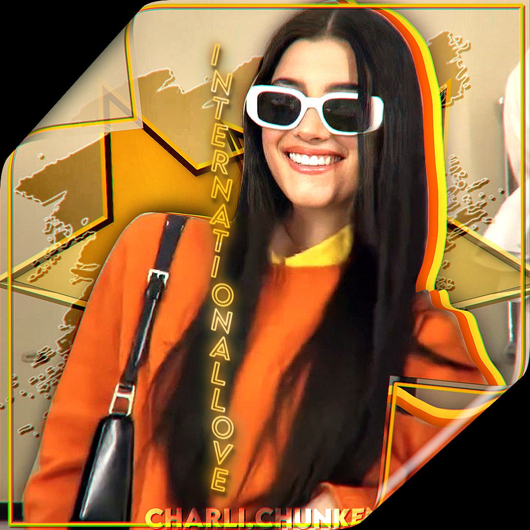 shimmy project file - Payhip