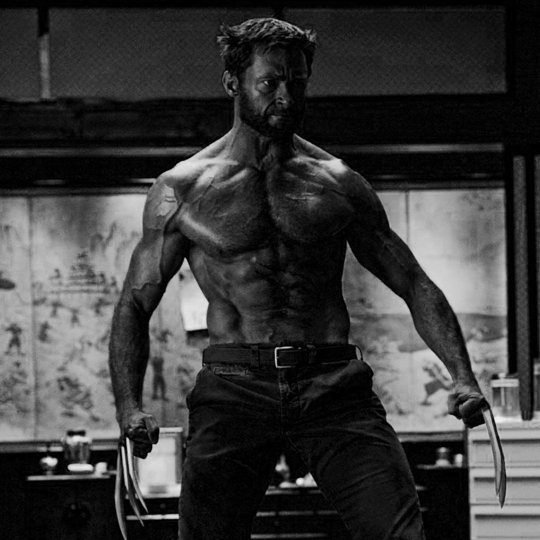 Wolverine Edit - Payhip