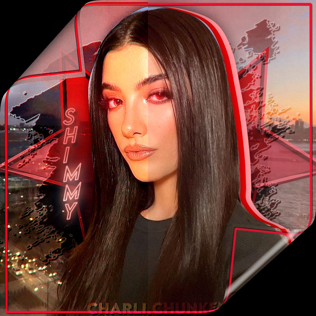 shimmy project file - Payhip