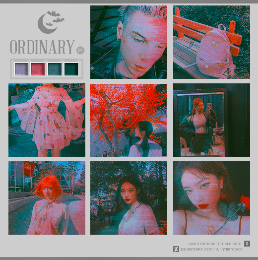 Ordinary - wiintermoon - Payhip