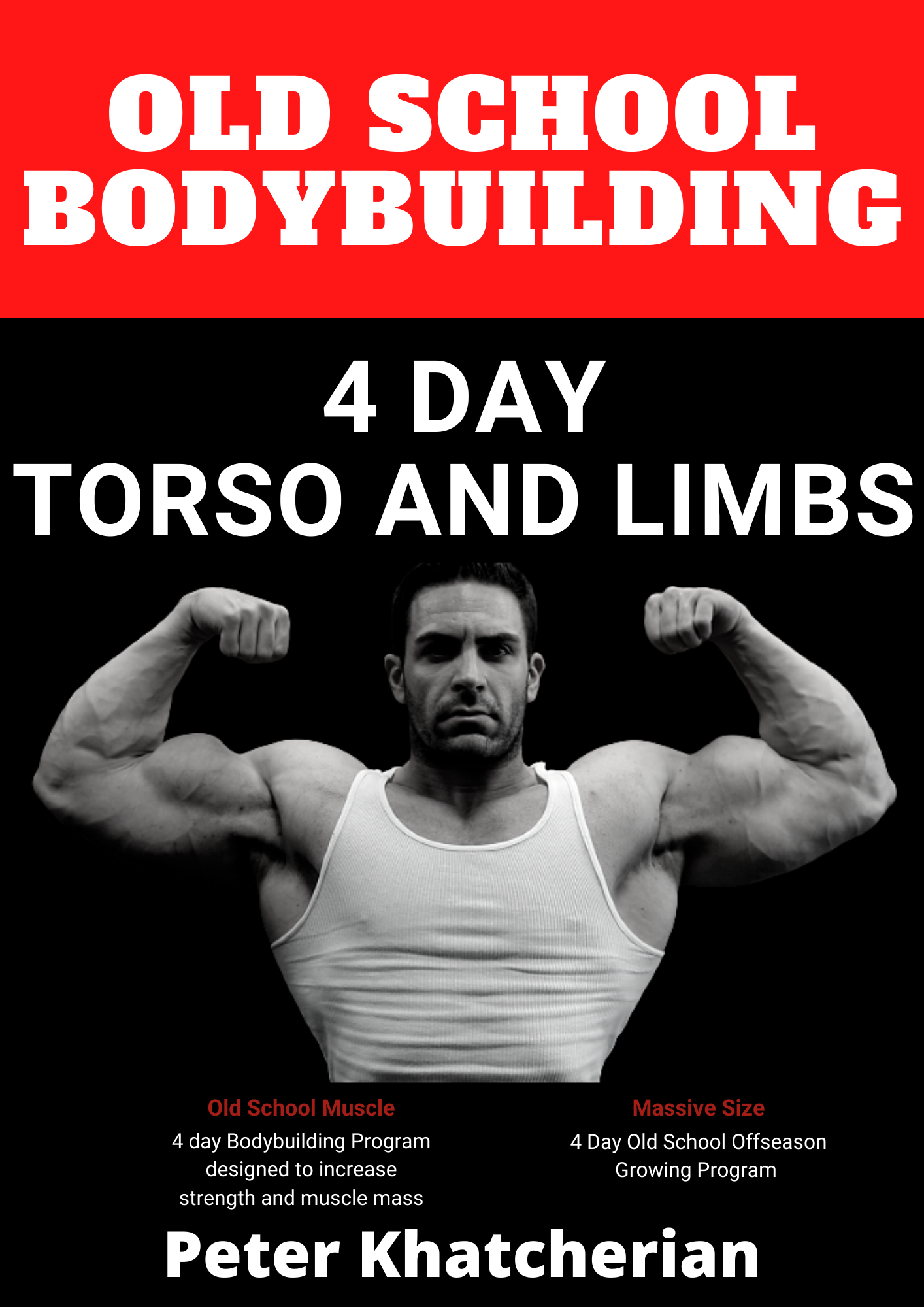 Old School Bodybuilding 5 Day Mass Gain Program - Payhip