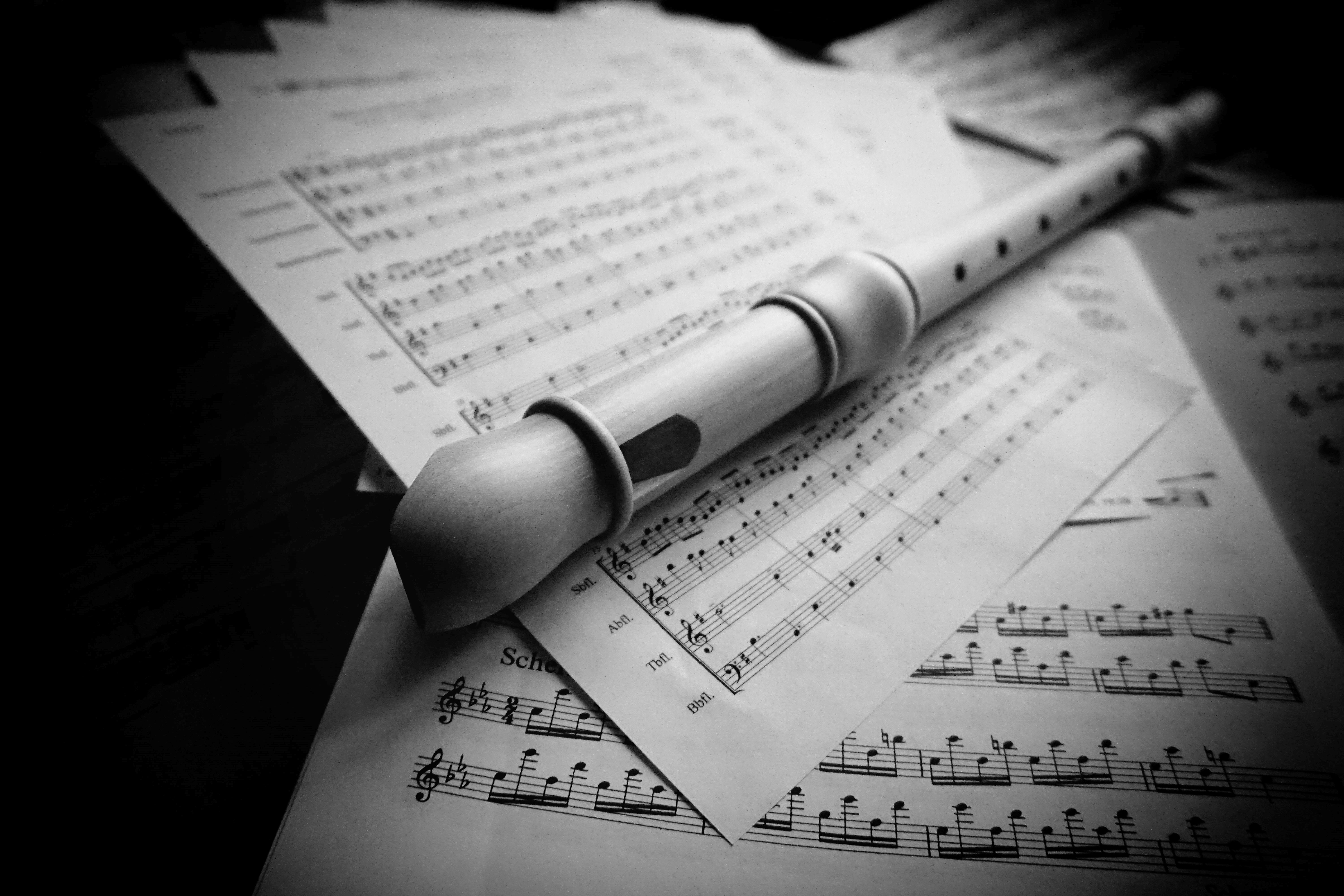 Grade 5 Music Theory Exam Preparation Course Payhip