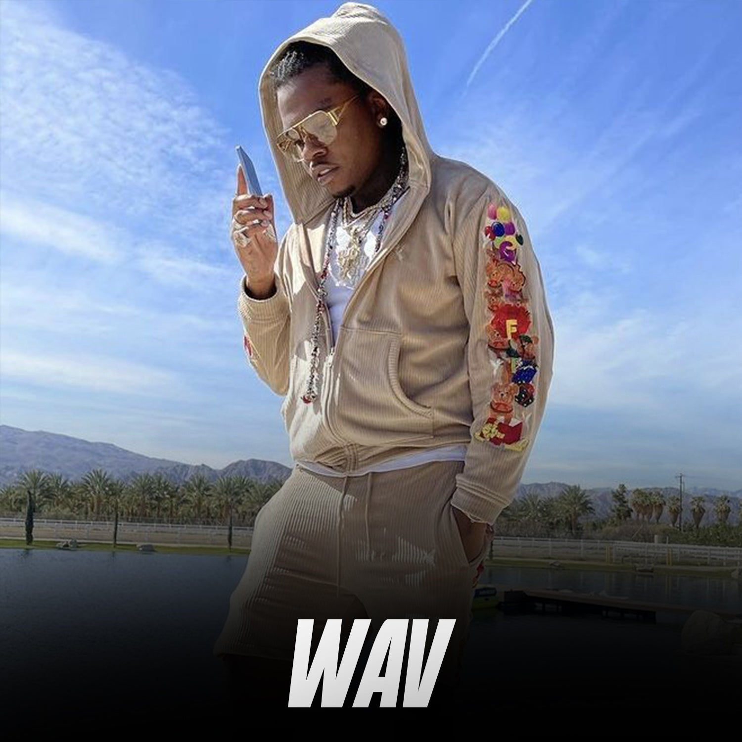 Go Crazy - WAV - Payhip