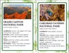 God Bless the USA National Parks Fact Cards - Payhip
