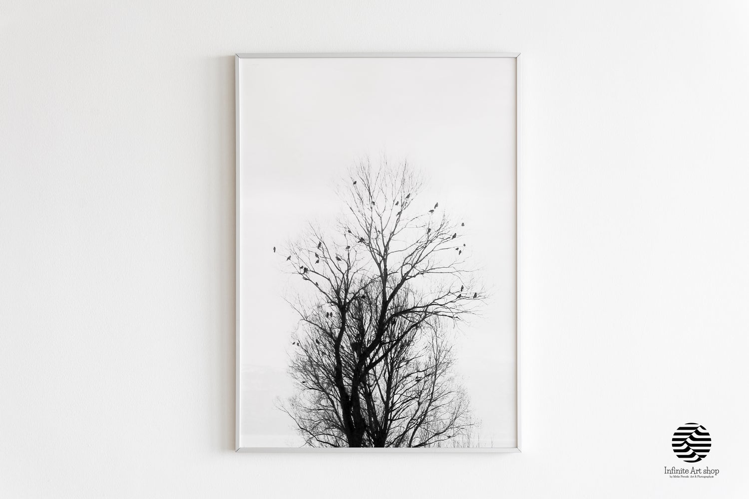 Birds on Branches,Nature photography,Black and White Tree Print,Instant ...