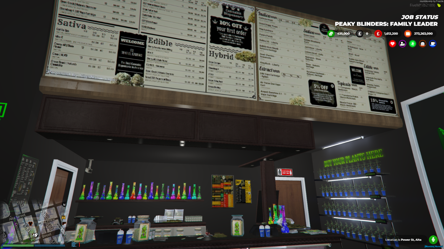 White Widow FiveM Map Marijuana Shop And Underground Growroom FiveM ...
