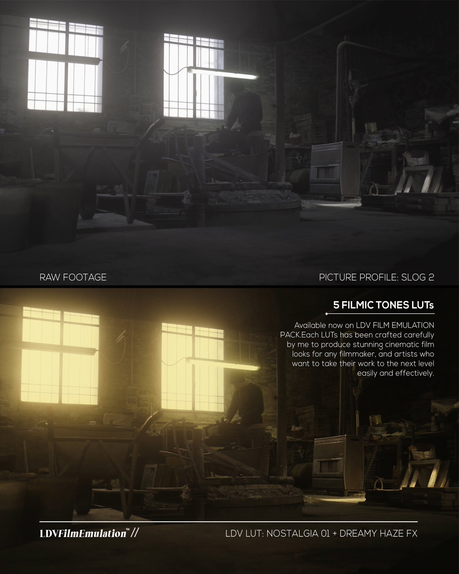 LDV FILM EMULATION | ASSETS PACK - Payhip