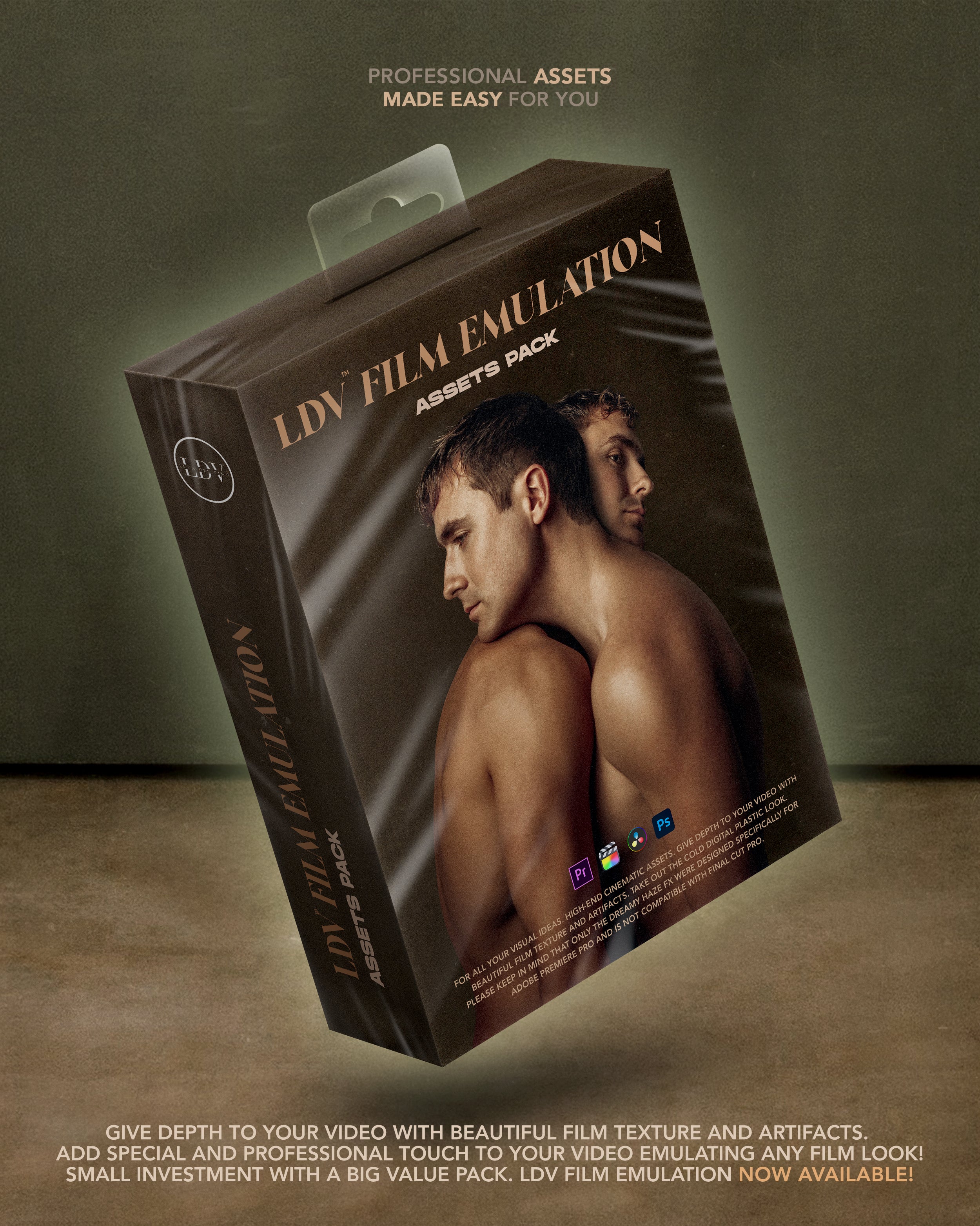 LDV FILM EMULATION | ASSETS PACK - Payhip