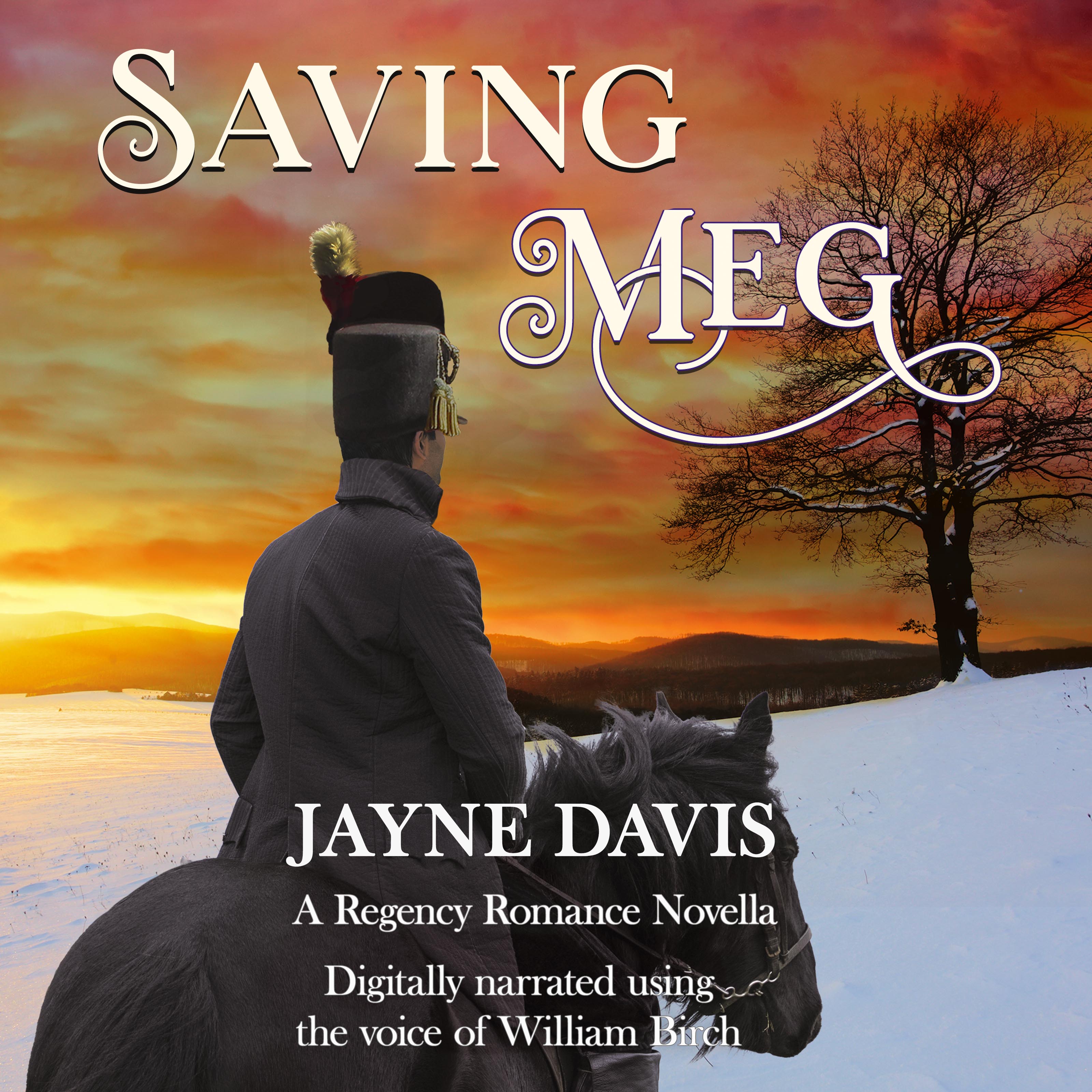 Saving Meg Audiobook - Payhip