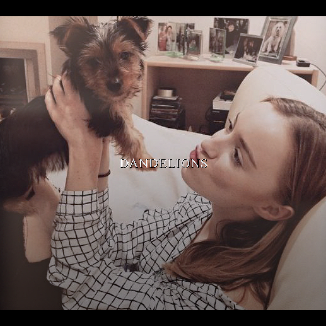 Phoebe - Dandelions - Payhip