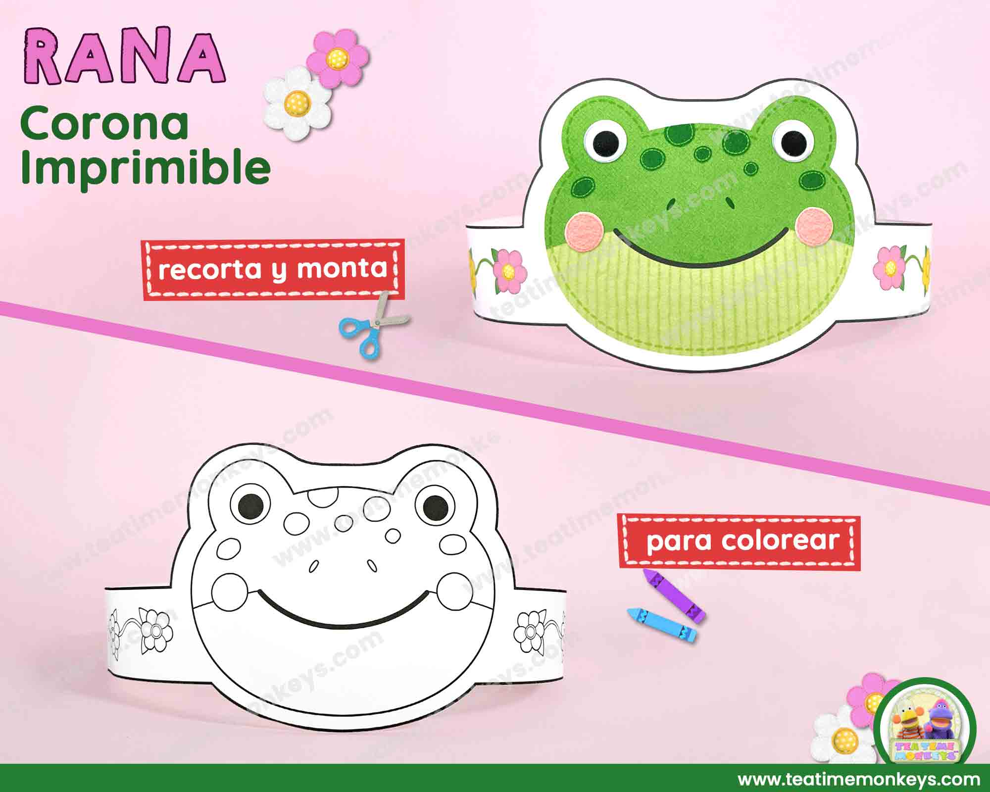 Corona de RANA - Payhip