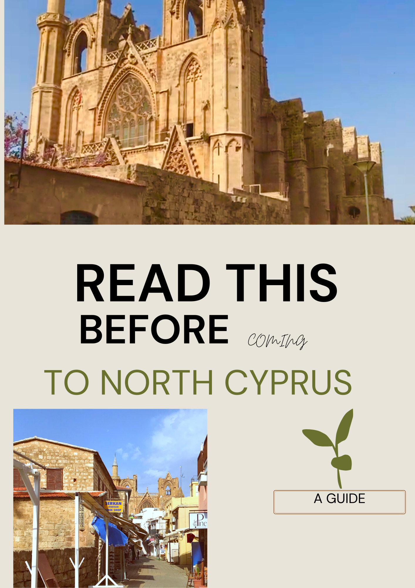 READ THIS BEFORE COMING TO NORTH CYPRUS - Payhip