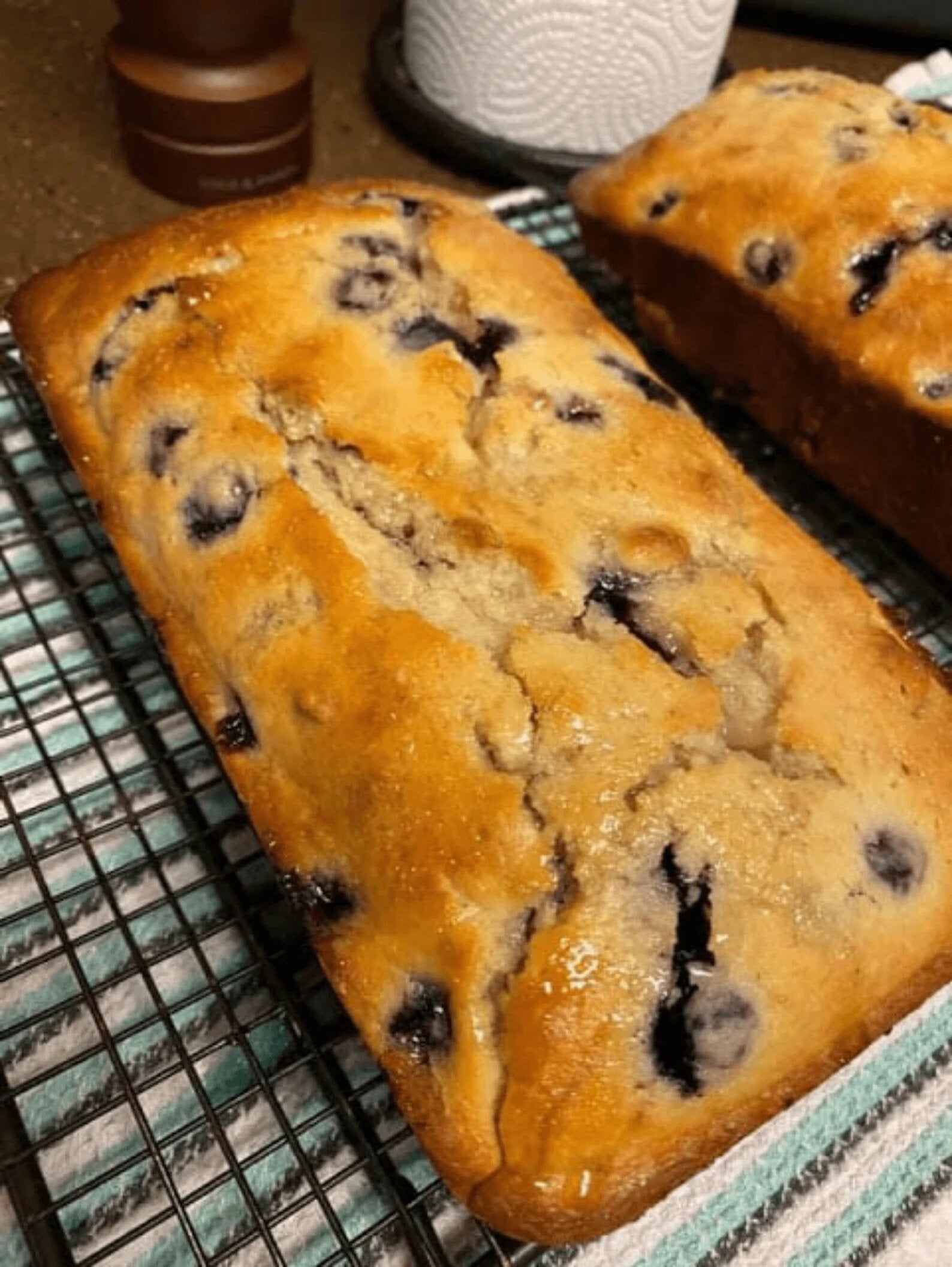 BEST RECIPE For Lemon Blueberry Bread Download. - Payhip