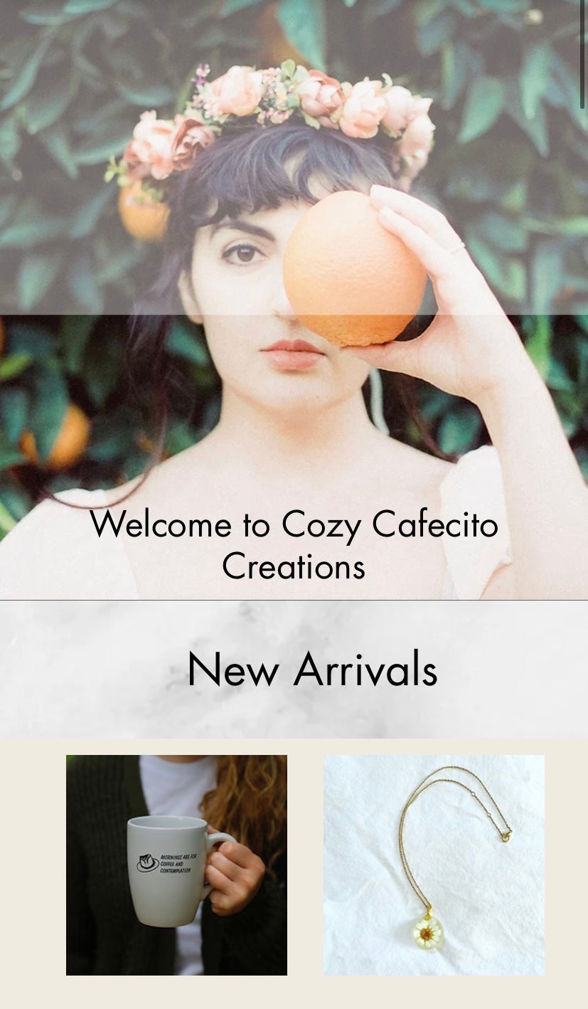 Influencers Bible - Payhip