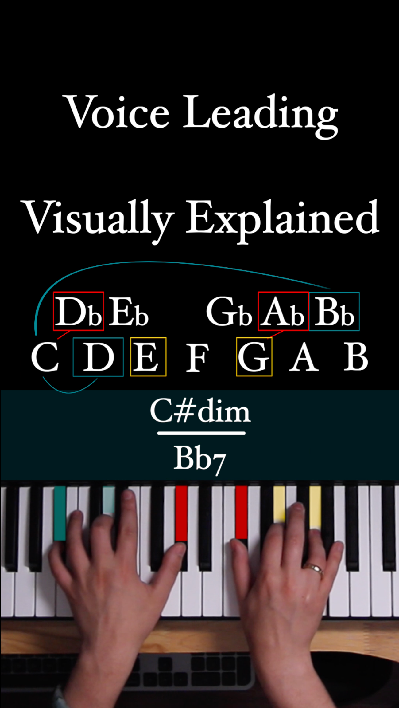 Voice Leading Visually Explained-transcription - Payhip