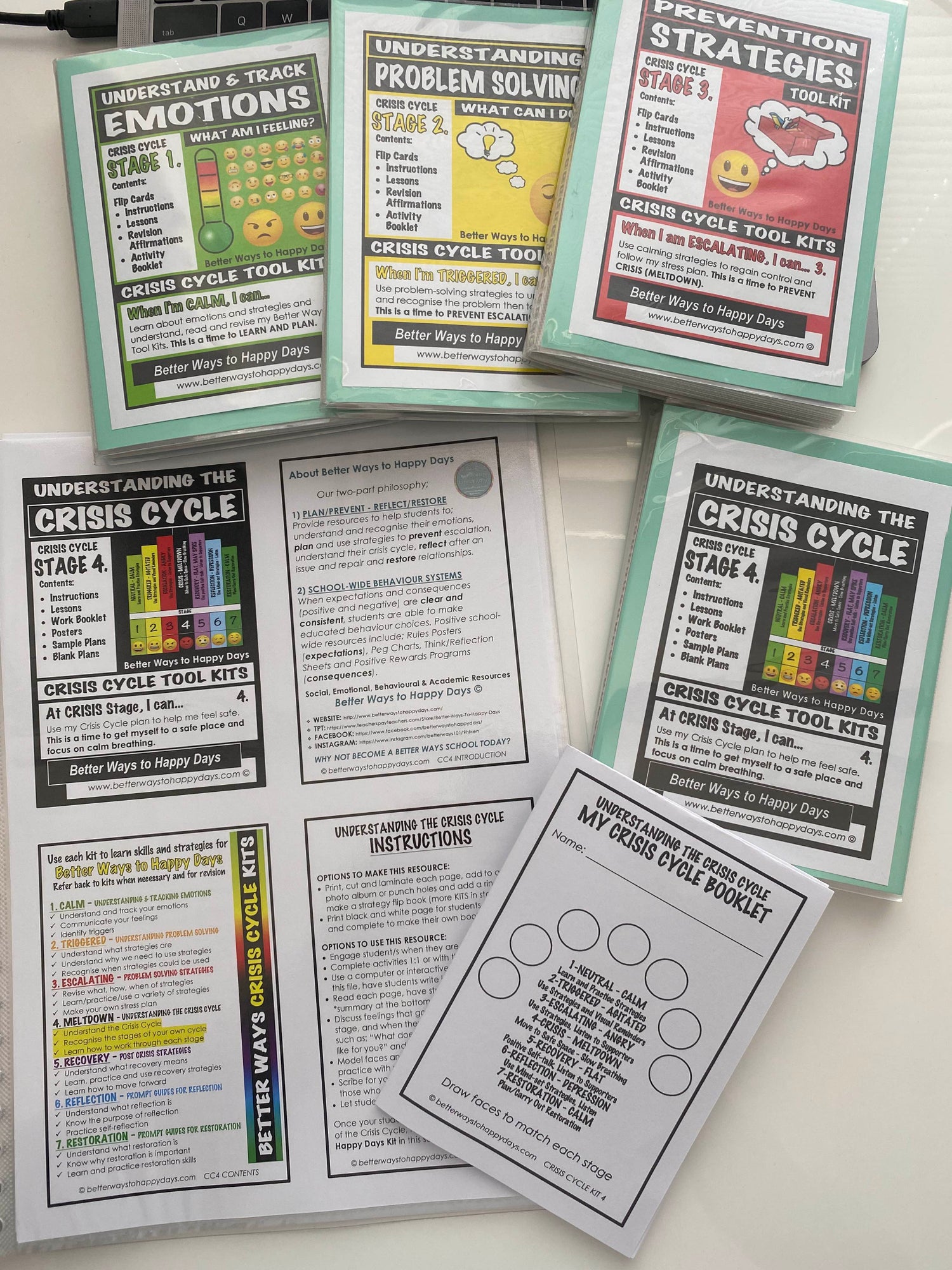 UNDERSTANDING YOUR CRISIS CYCLE - Visual Lesson Flip Cards - Payhip