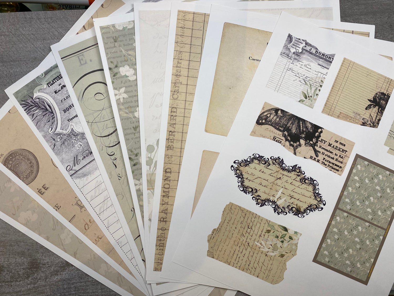 The Botanicals - Amber Collection - Payhip