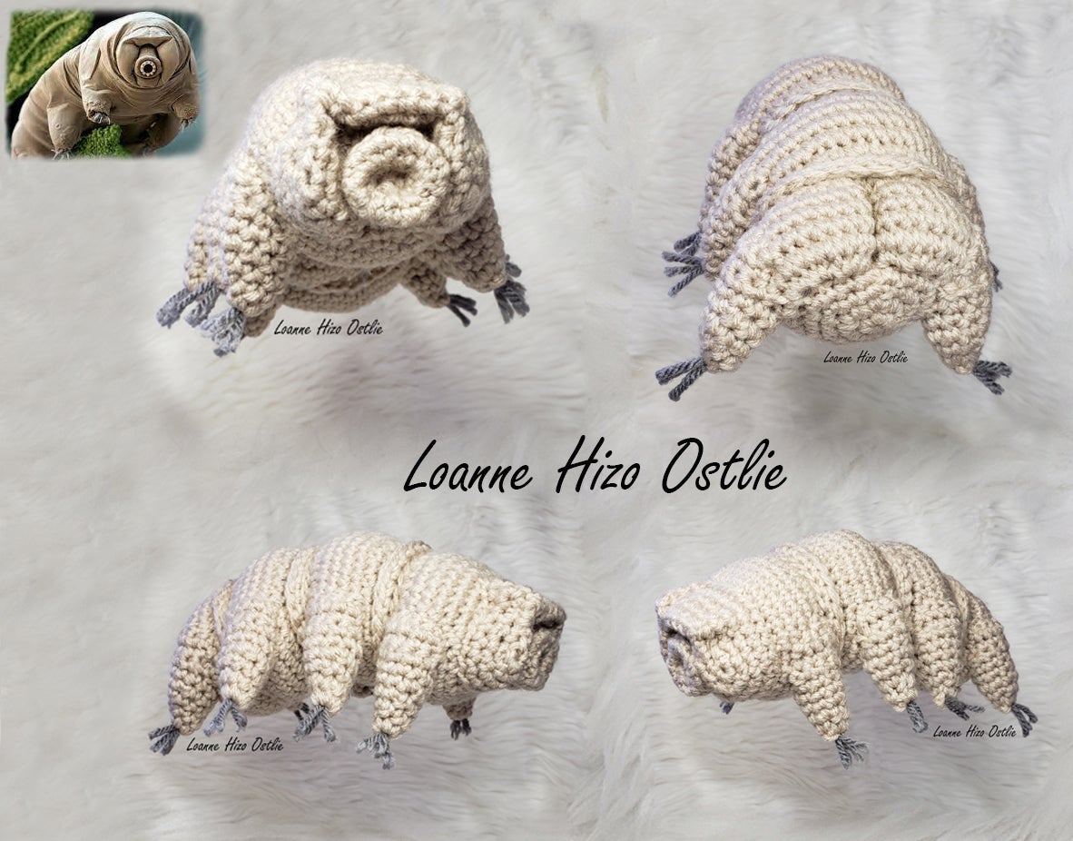 Bubble Butt Baby Tardigrade Crochet PDF pattern