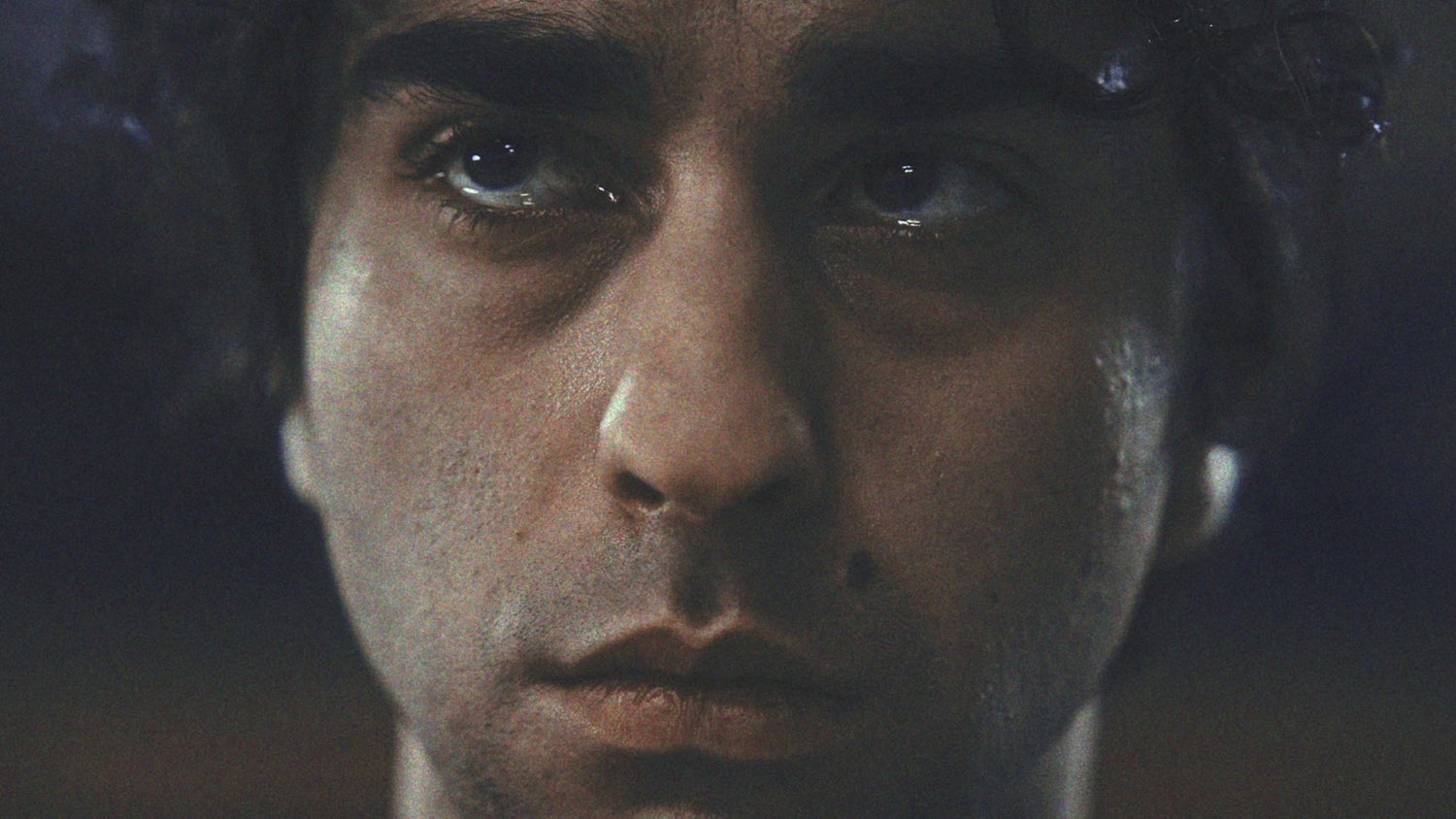 hereditary coloring - Payhip