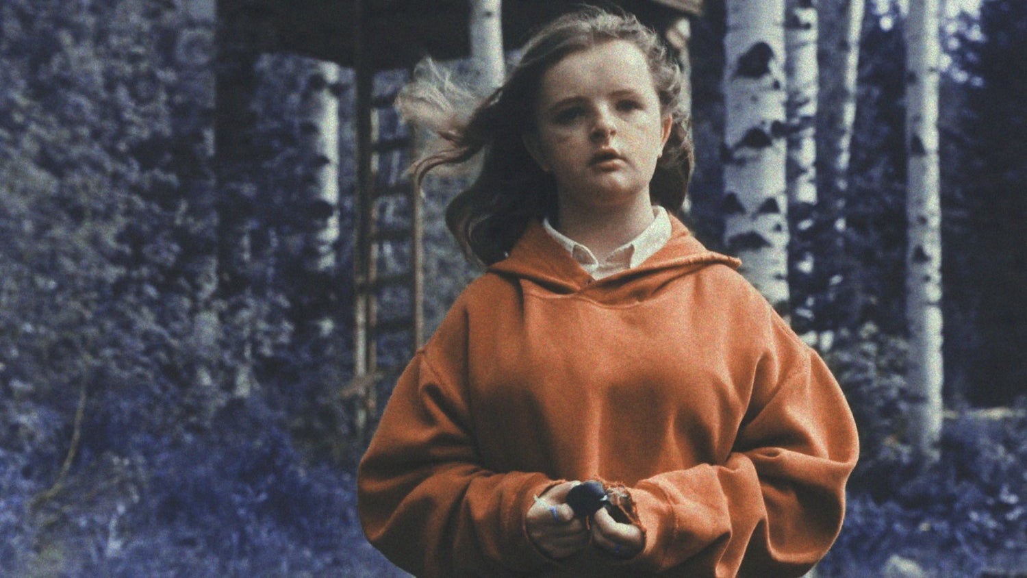 starrygrimes - Payhip