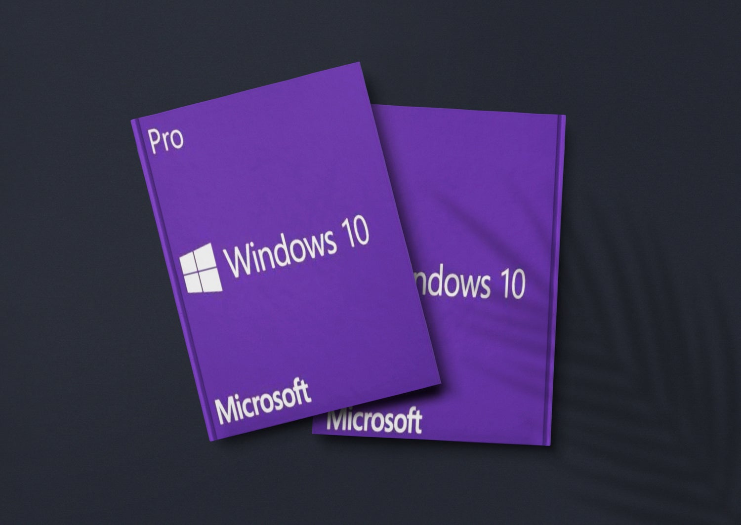 Adobe Master Collection Windows and MAC VERSION 10.13 OR HIGH - Payhip