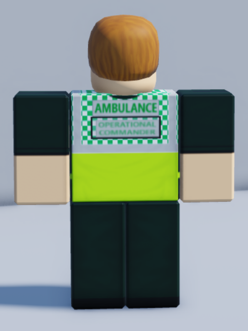 JESIP Commander Tabards Pack 1 - Payhip